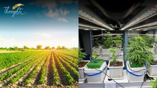 Plant-Based Food Innovation in 2026: How Tech Is Changing What and How ...